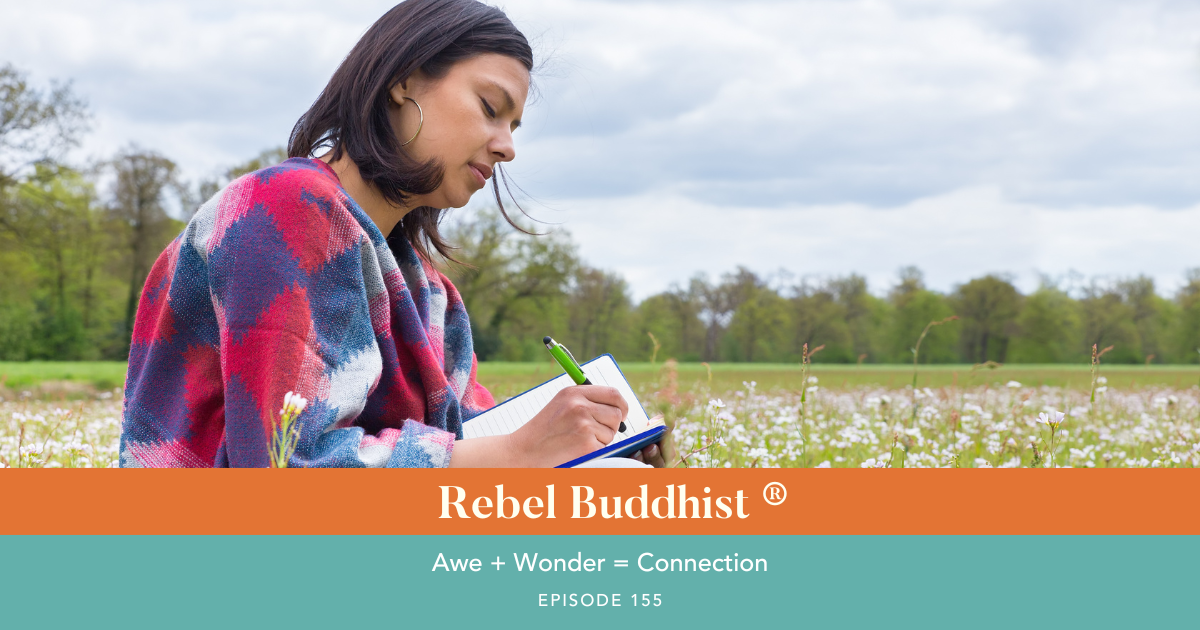 Ep. 155: Awe Plus Wonder Equals Connection - Ana Verzone - Rebel Buddhist