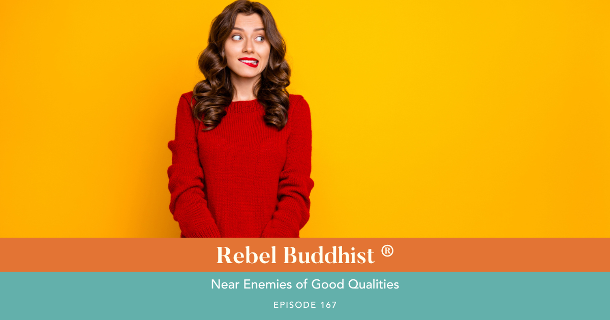 Ep. 167: Near Enemies of Good Qualities - Ana Verzone - Rebel Buddhist