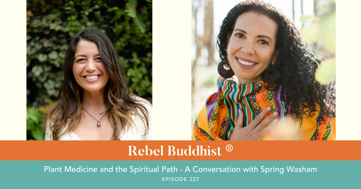 Ep. 227: Plant Medicine and the Spiritual Path - A Conversation with ...