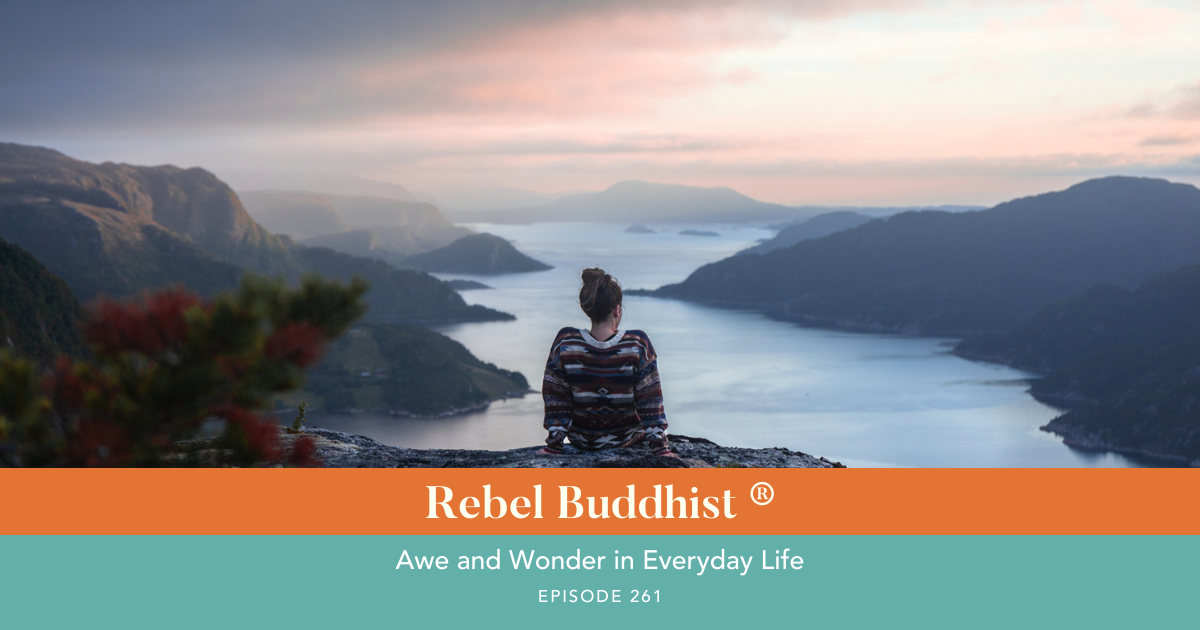 Ep. 261: Awe and Wonder in Everyday Life - Ana Verzone - Rebel Buddhist